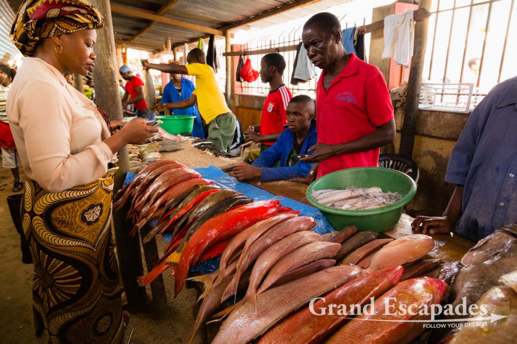 Fish Market, Maputo, Mozambique - Grand Escapades